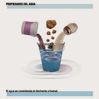 DEL AGUA AL MONO: EL AGUA COMO SOLVENTE UNIVERSAL